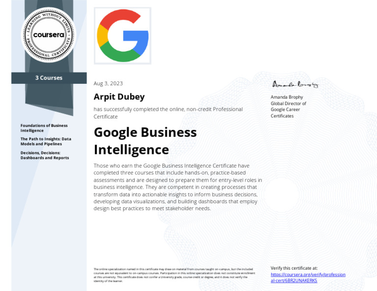 Google Business Intelligence | PDF
