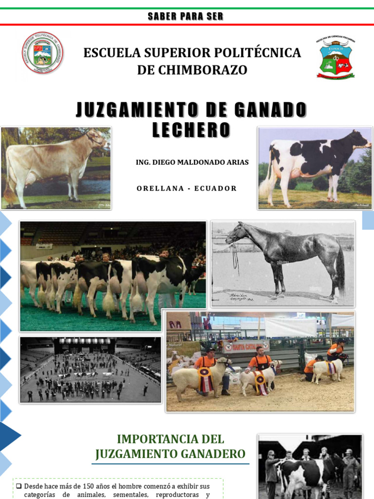 PRESENTACION_ JUZGAMIENTO DE GANADO LECHERO_0 | Descargar gratis PDF | Vacas | Pasto
