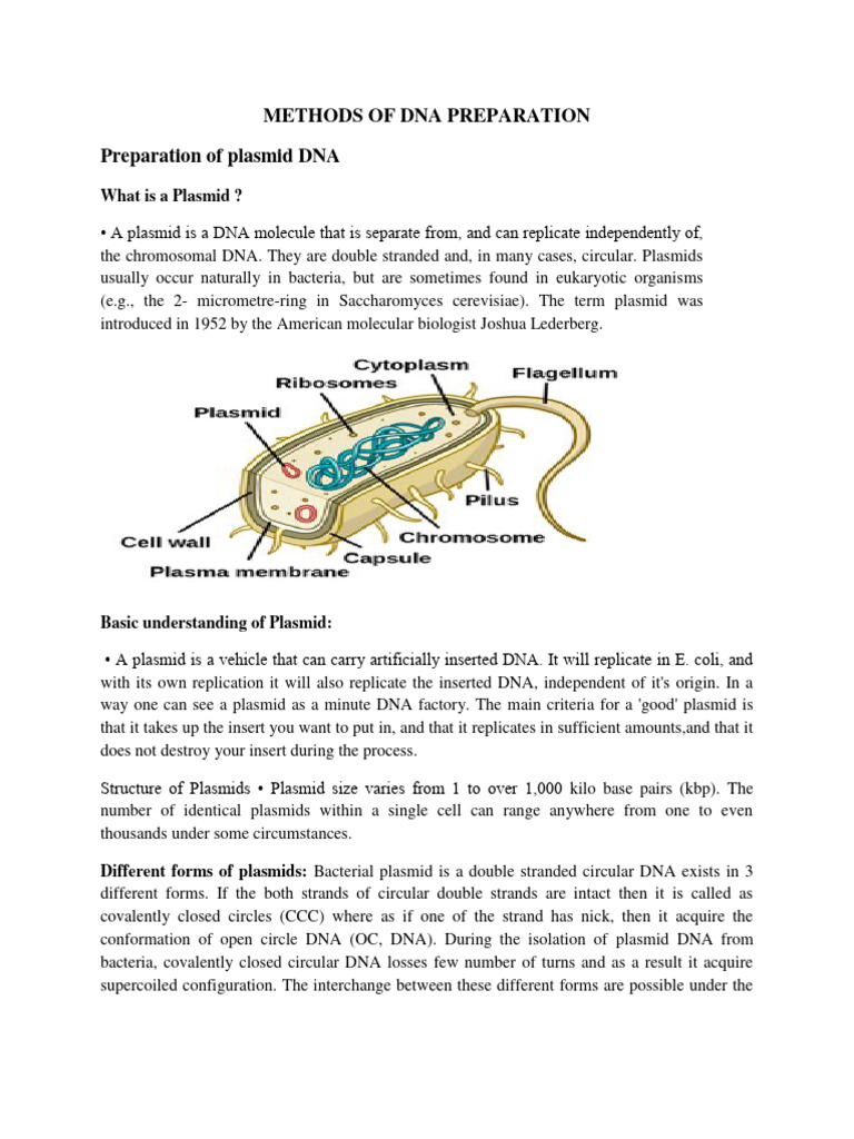 METHODS OF DNA PREPARATION | Download Free PDF | Plasmid | Molecular ...