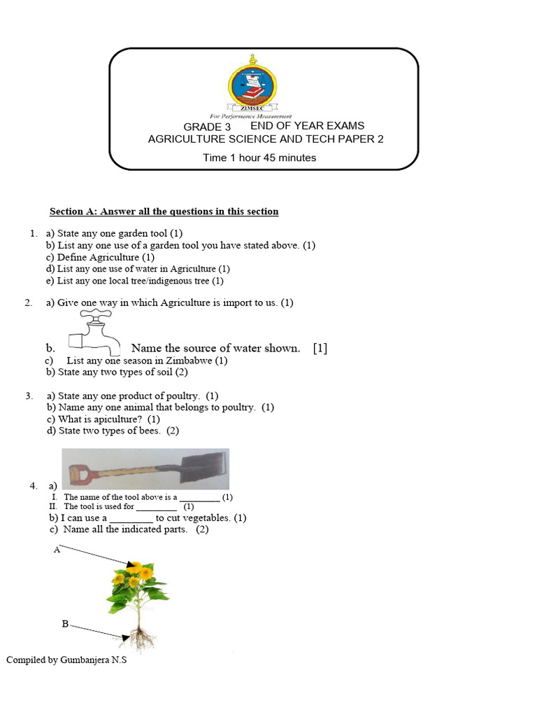 Grade 3 Agriculture Science Exam Paper | PDF | Foods | Vegetables