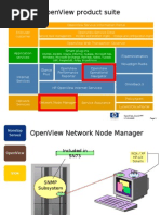 Oracle Process Manager Guide | PDF | Oracle Database | Server (Computing)