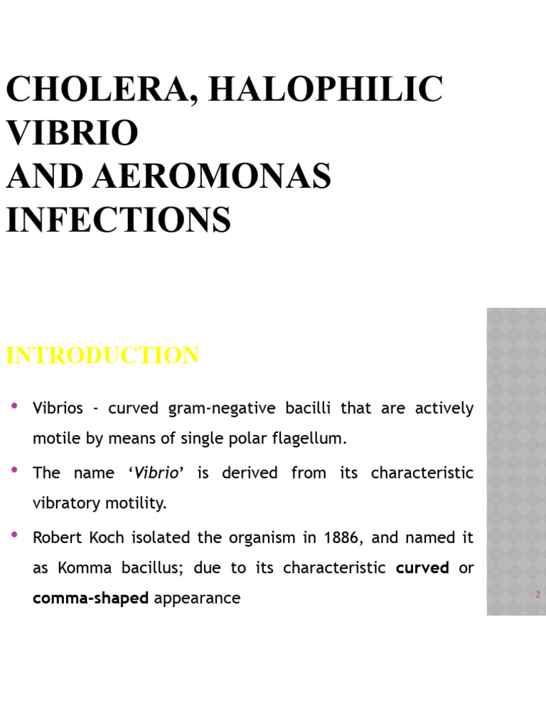 Cholera, Halophilic Vibrio and Aeromonas Infections | PDF | Cholera ...