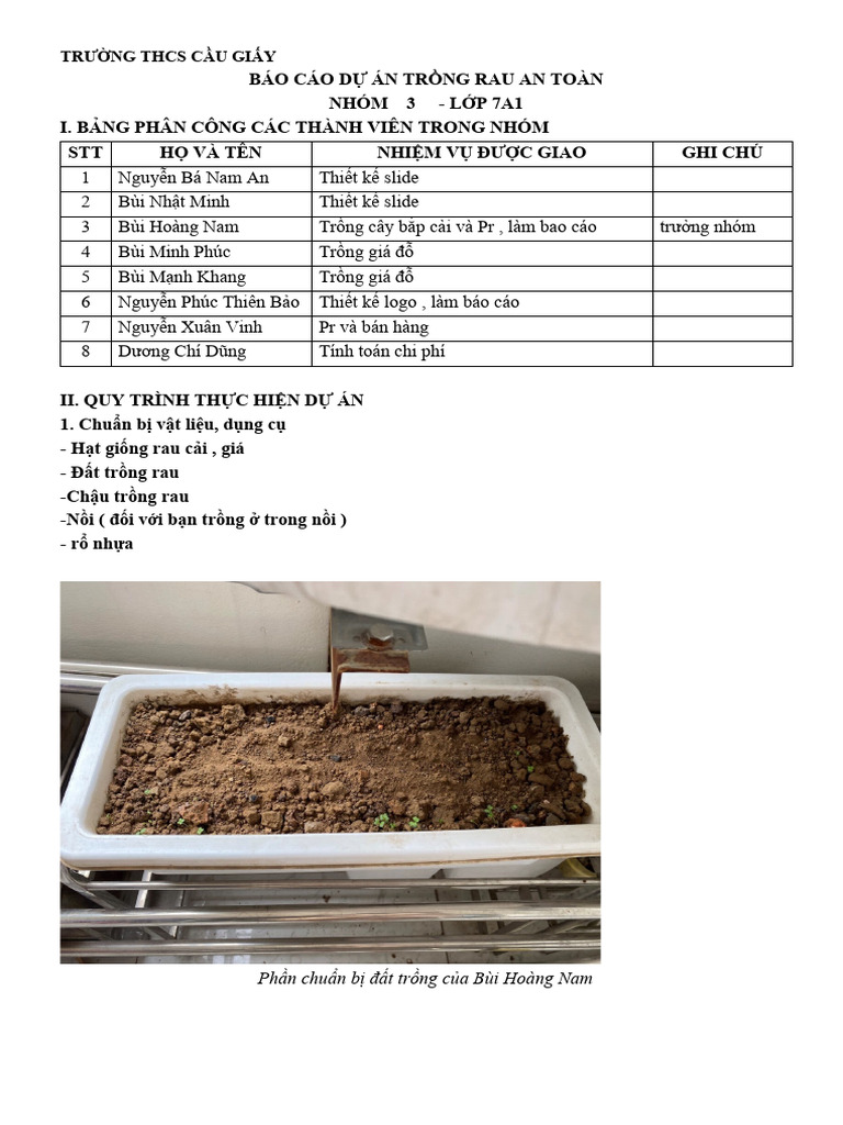 Báo Cáo D Án TR NG Rau An Toàn Nhóm 7 L P 9a1 B N 2 | PDF