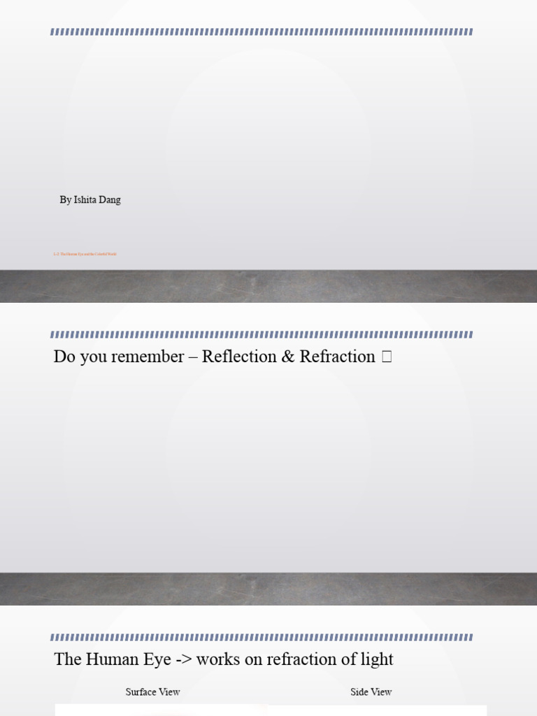 L-2A Human Eye | PDF | Eye | Myopia