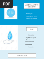 Pollution de l'eau : causes et conséquences | PDF | Eau | Pollution de l'eau