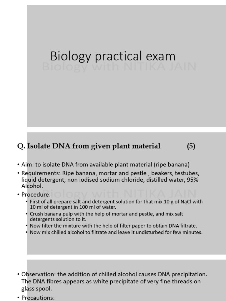 Bio Practical | PDF | Flowers | Symbiosis