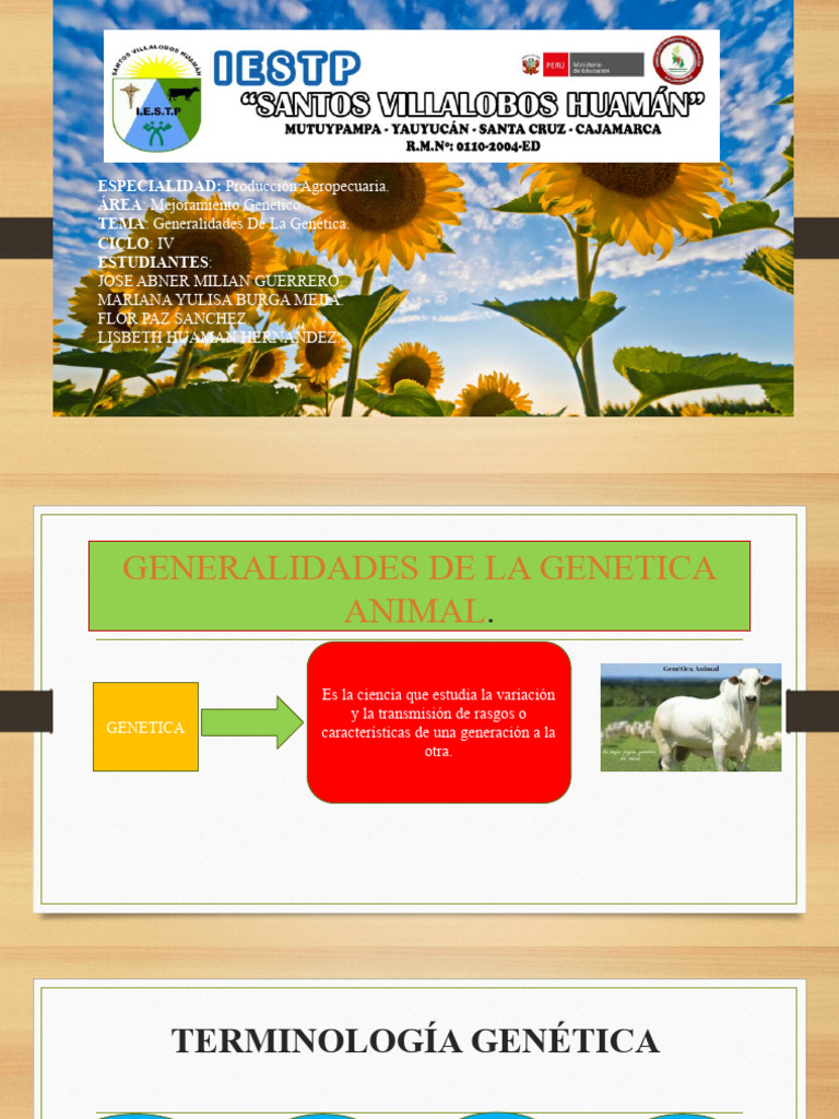 Genetica Yulisa. | PDF | Dominancia (Genética) | Cigosidad