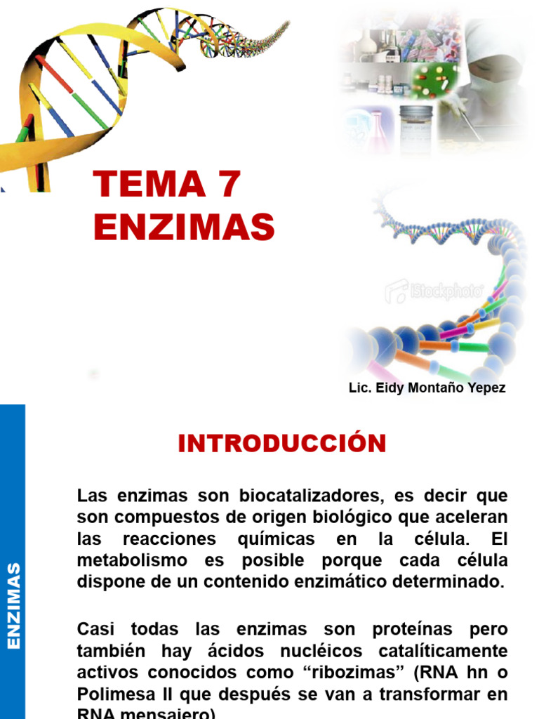 Tema 7. Enzimas Actualizado | Descargar gratis PDF | Enzima | Inhibidor de la enzima
