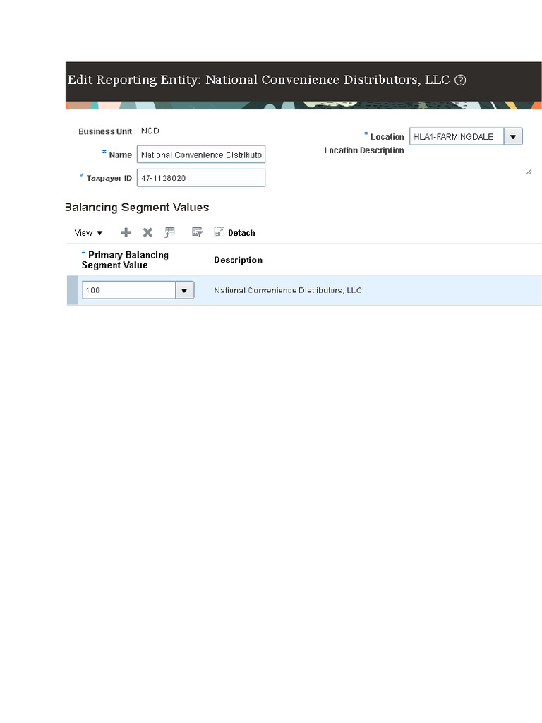 Balancing Segments Assigned To Reporting Entities | PDF