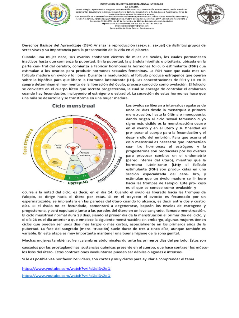 Biologia-8 - Guia-Ciclo Menstrual | PDF | Ciclo menstrual | Hormona luteinizante