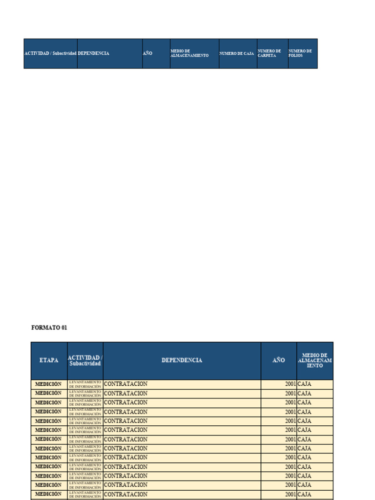 24-06-24_formato de Recolección de Información-omaira, Luis, Jhon | PDF