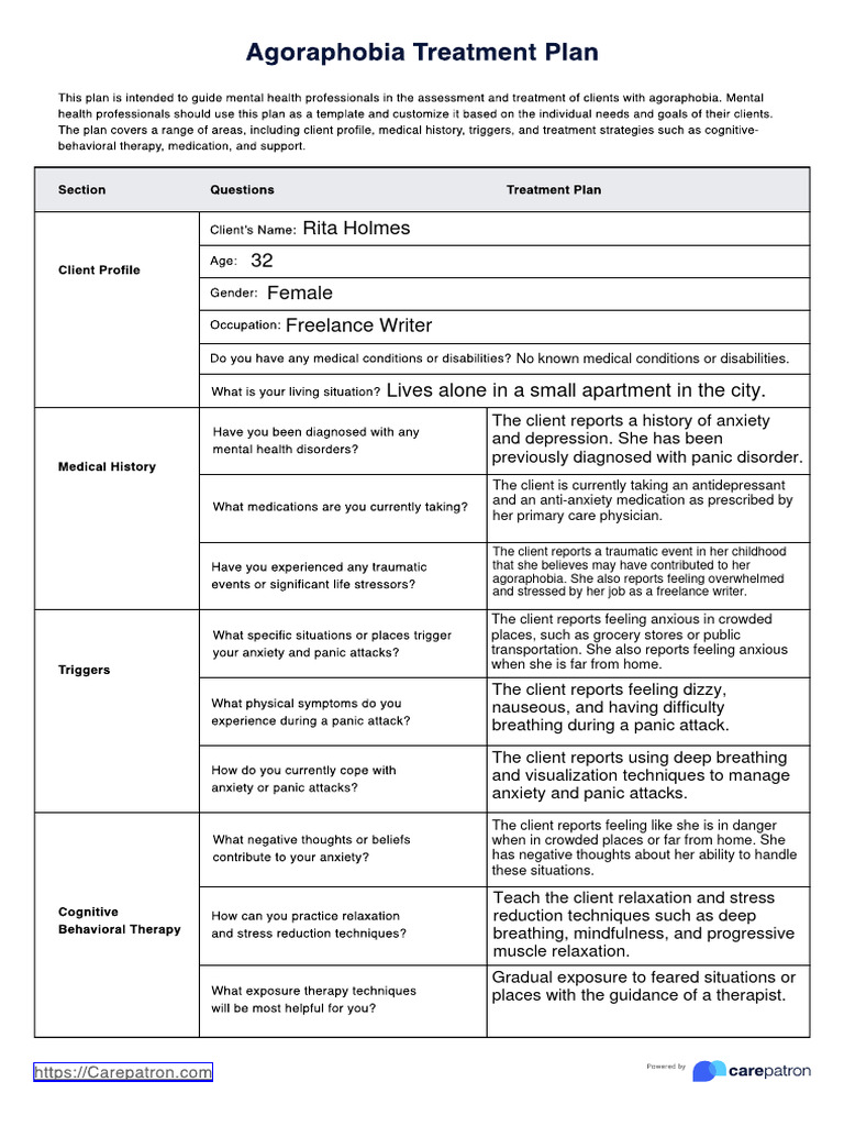 Agoraphobia Treatment Plan Example | PDF | Agoraphobia | Panic Attack