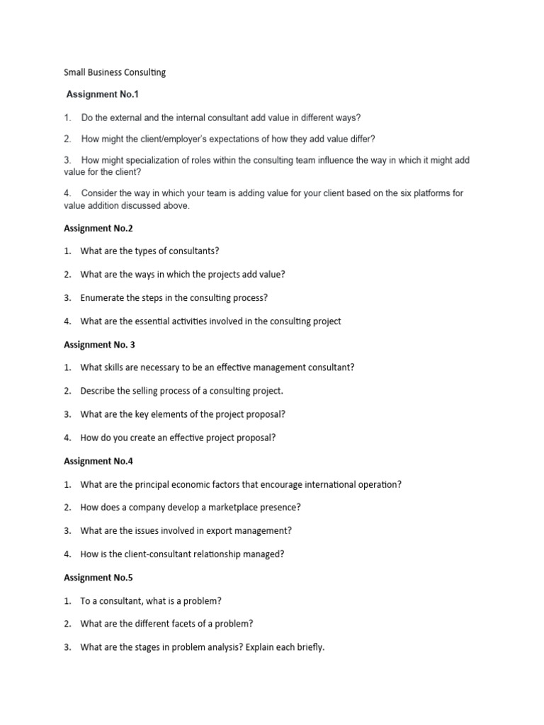 Small Business Consulting - Emabini Assignment | PDF | Consultant ...