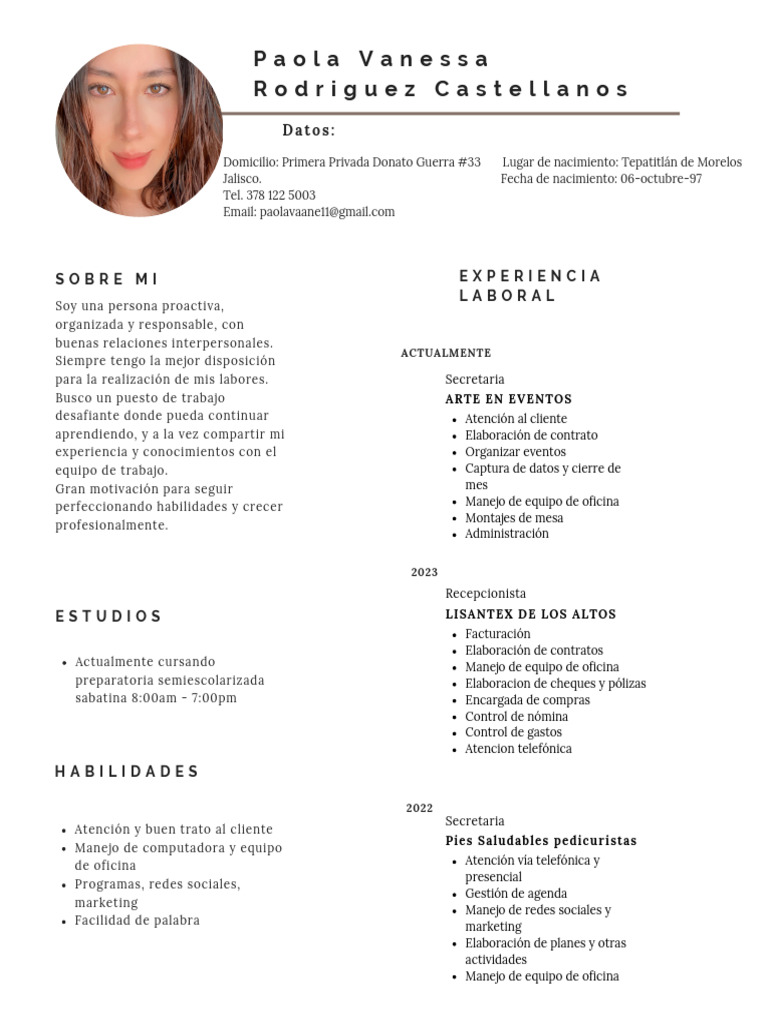 Curriculum Vitae Formal | PDF