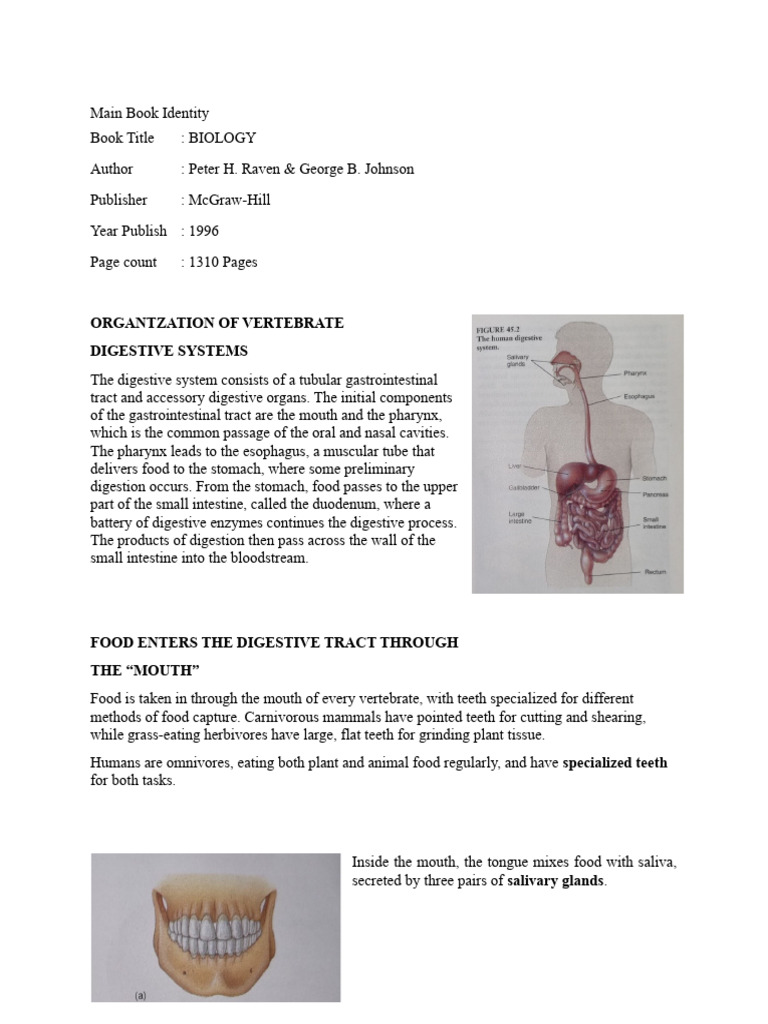 Main Book Digestive | PDF | Digestion | Stomach