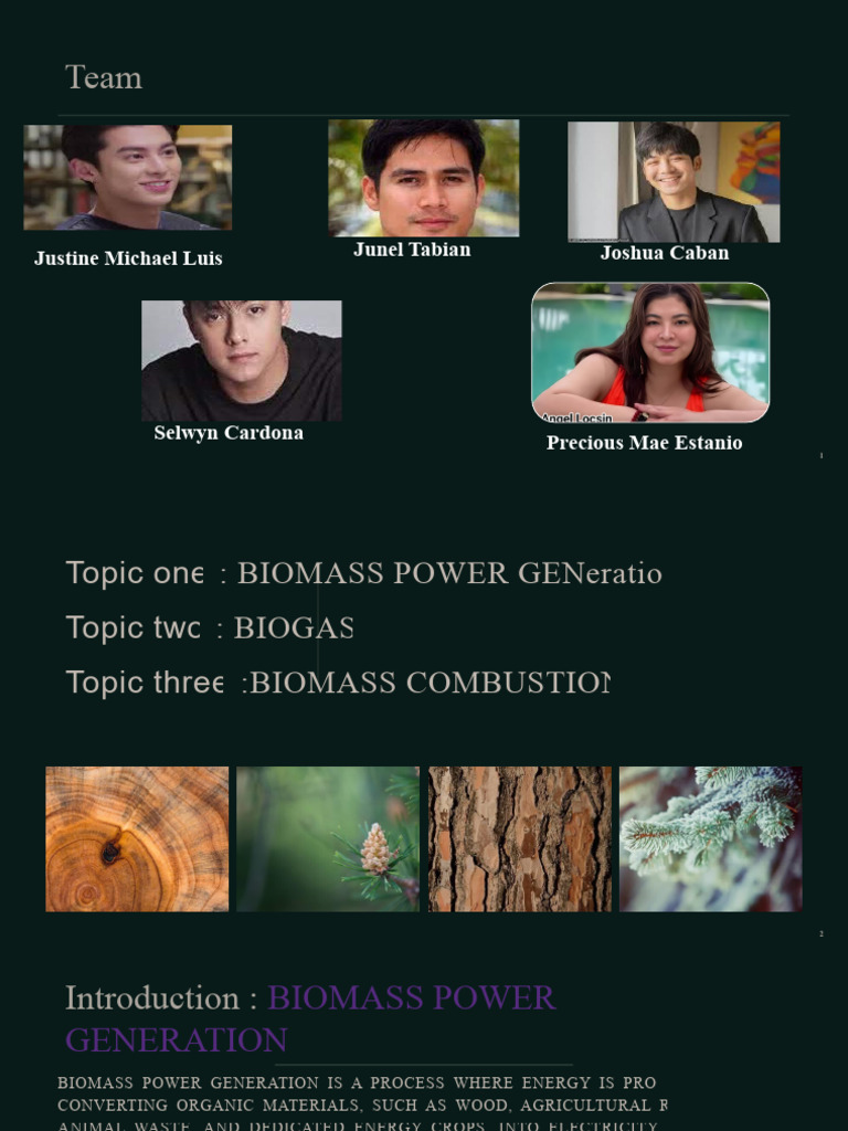 GROUP-4-BIOMASS Notes | PDF | Biofuel | Biogas
