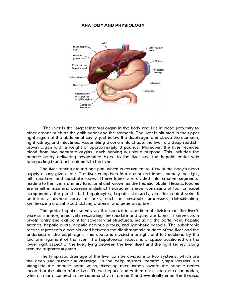 ANATOMY-AND-PHYSIOLOGY-LIVER REVISED | Download Free PDF | Liver ...