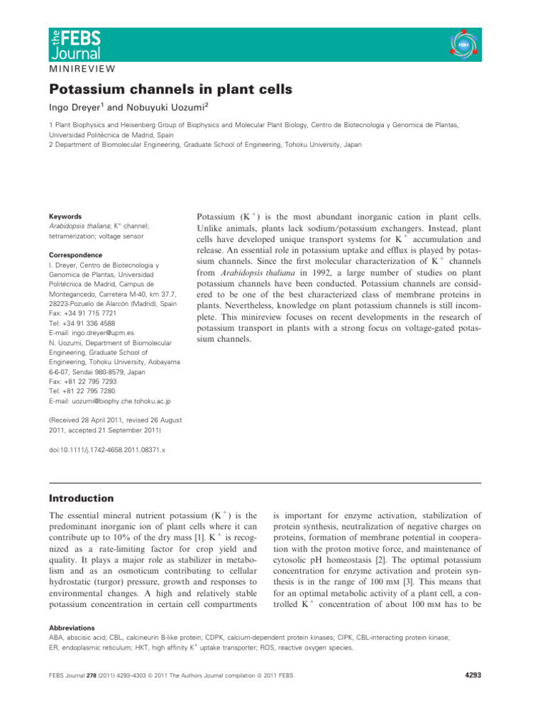 Potassium Channels in Plant Cells | PDF | Ion Channel | Stoma