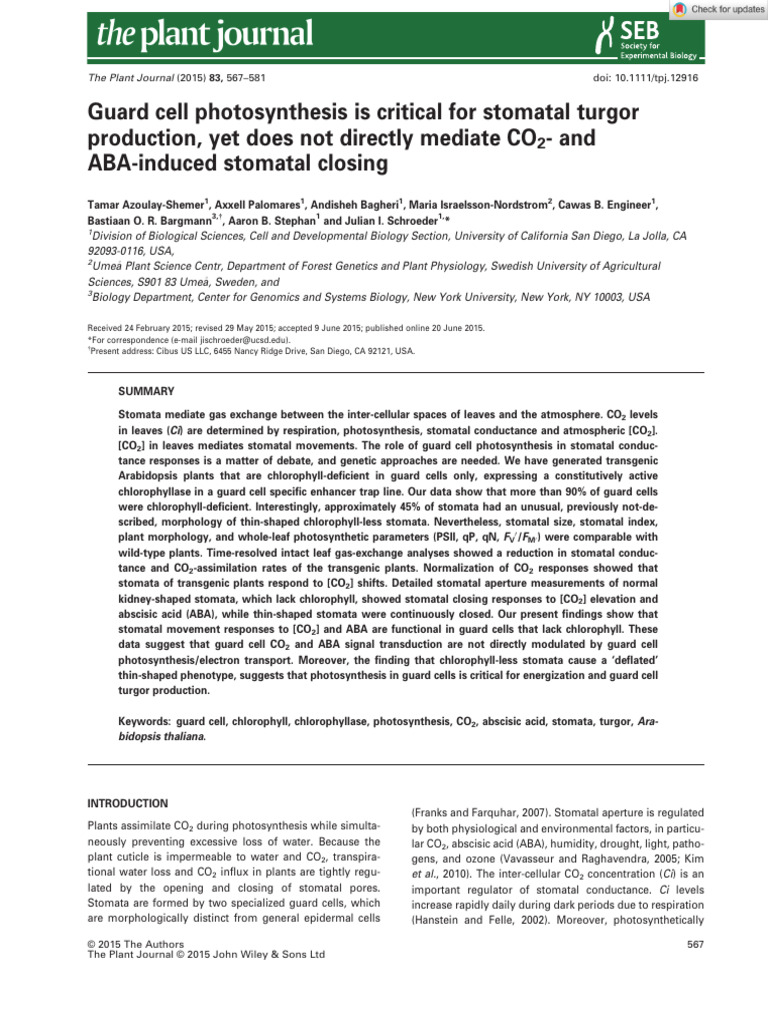 Guard Cell Photosynthesis Is Critical For Stomatal Turgor Production ...