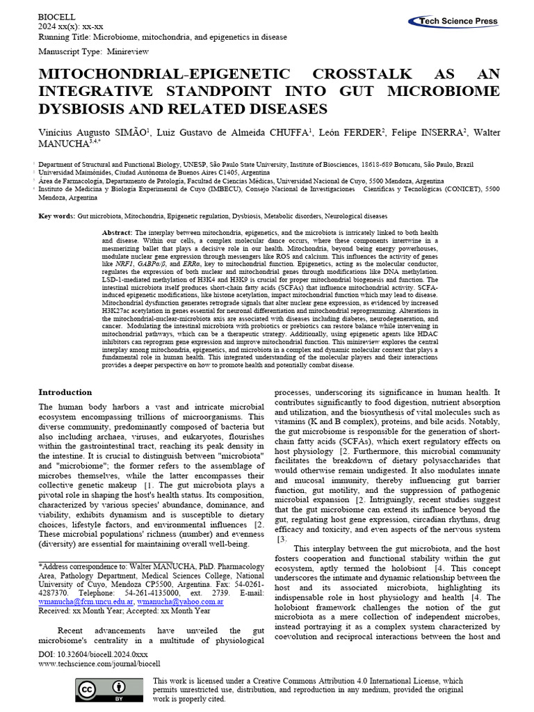 BIOCELL 53478 Manuscript 80047 1 | PDF | Mitochondrion | Epigenetics