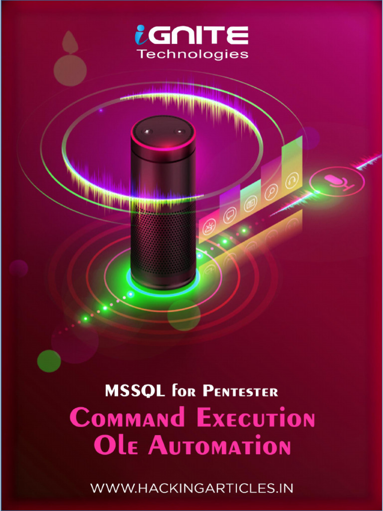 1718698580184 | PDF | Penetration Test | Microsoft Sql Server