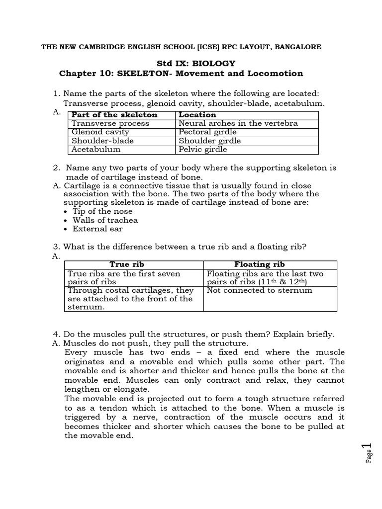 Ln.10 SKELETON-Movement and Locomotion - Notes | PDF | Bone | Arm