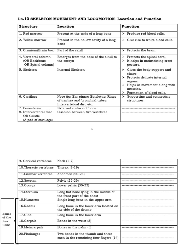 Ln.10_Skeleton-Movement and Locomotion_Location and Function | PDF ...