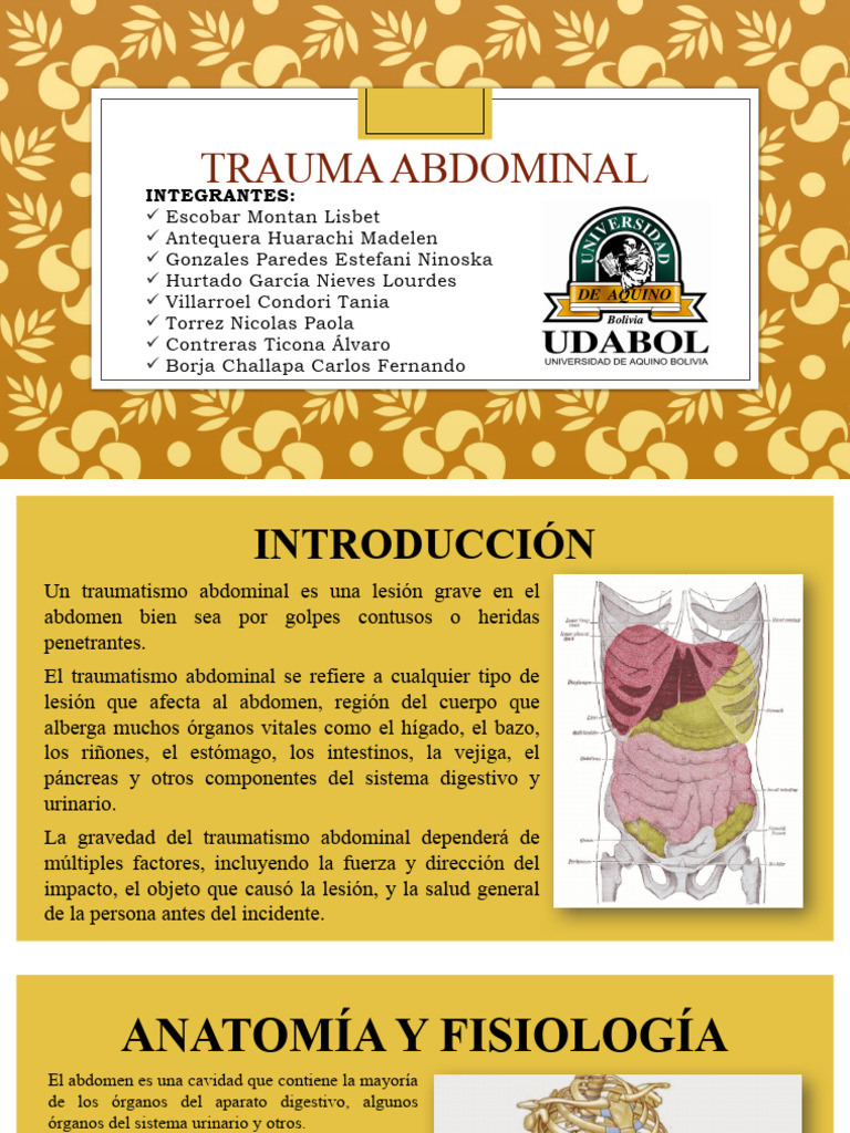 TRAUMA ABDOMINAL - DIAPOSITIVAS | PDF | Abdomen | Sistema digestivo humano