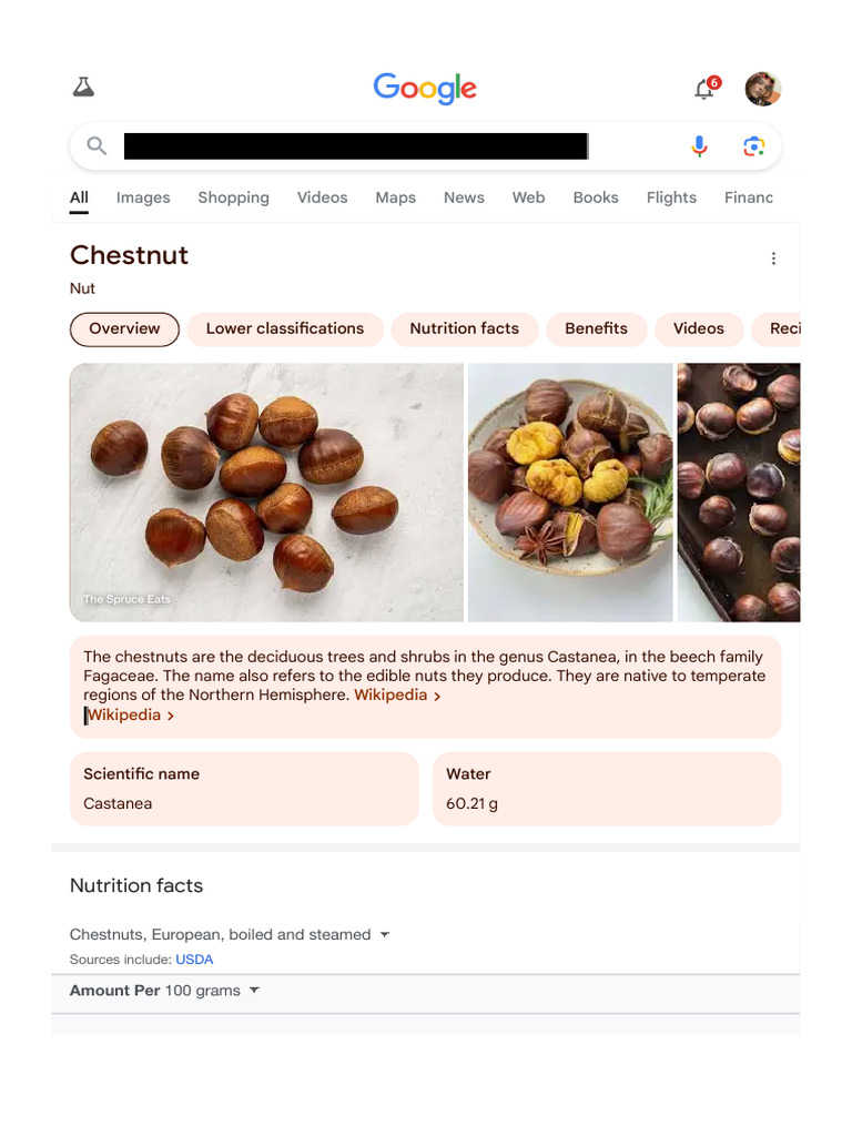 Chestnut - Google Search | Download Free PDF | Chestnut | Nut (Fruit)