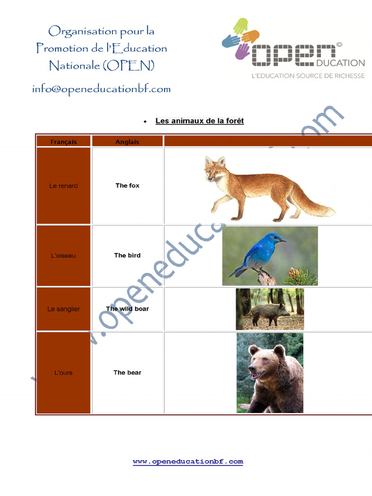 C - ANG@6e - Les Animaux de La Foret | PDF