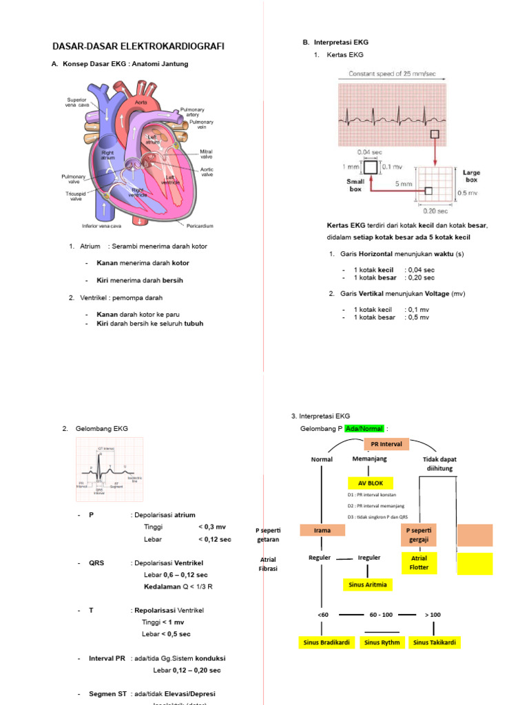 Panduan Dasar Elektrokardiografi EKG | PDF