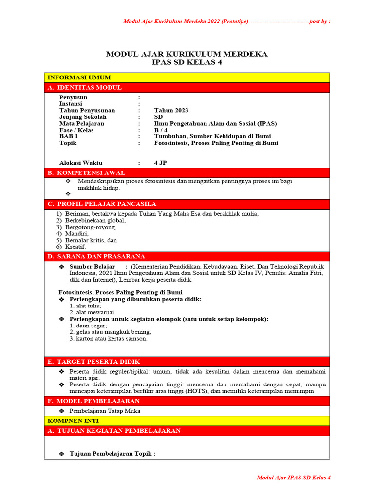 RPP Pembelajaran Berdiferensiasi | PDF