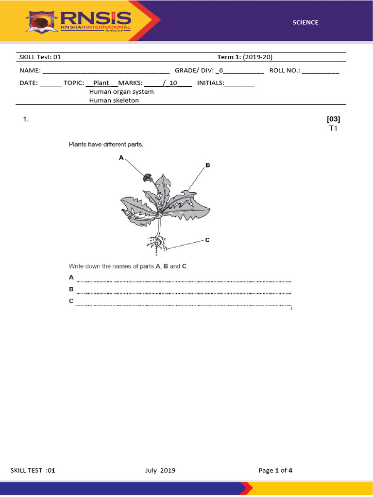 ST1 Grade 6 Science | PDF | Skeleton | Zoology