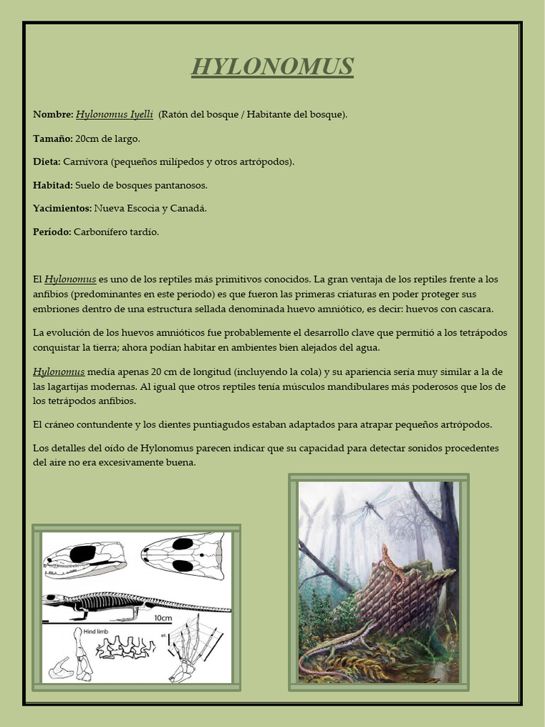 HYLONOMUS | PDF | Ciencias sociales