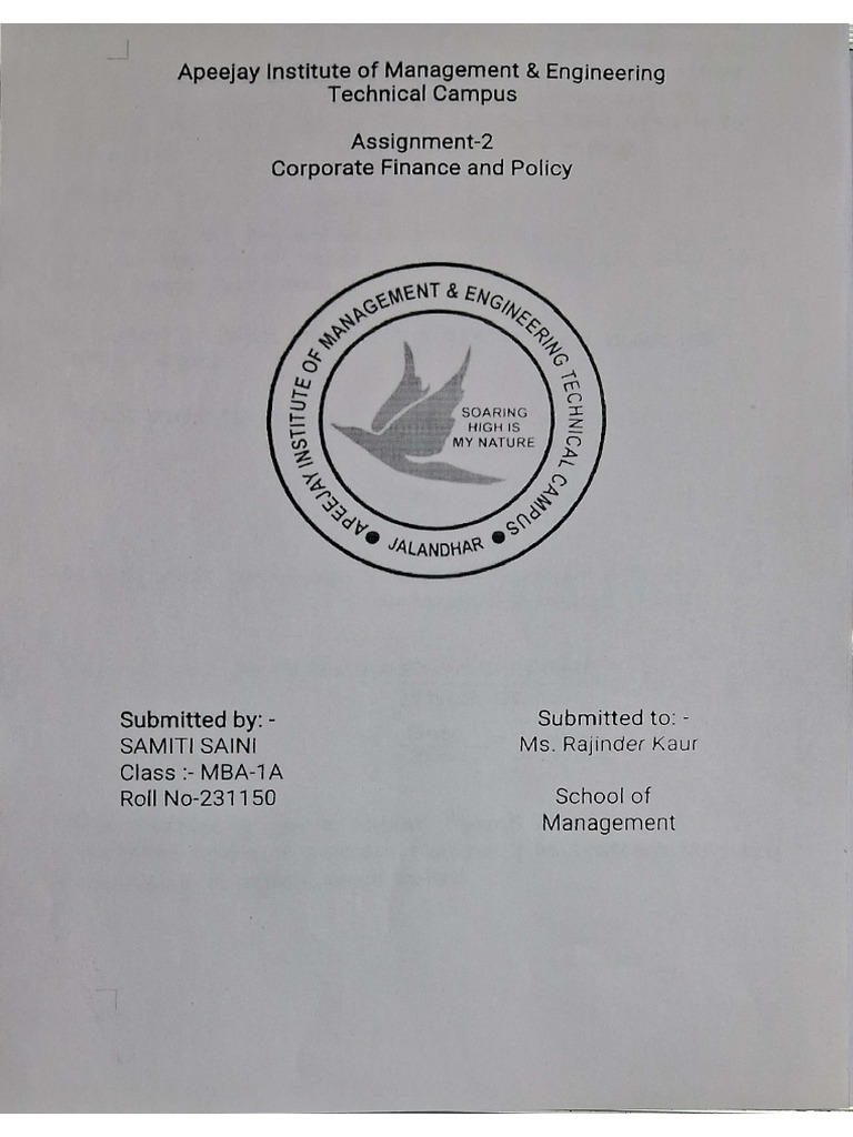 Corporate Finance Assignment 2 | PDF