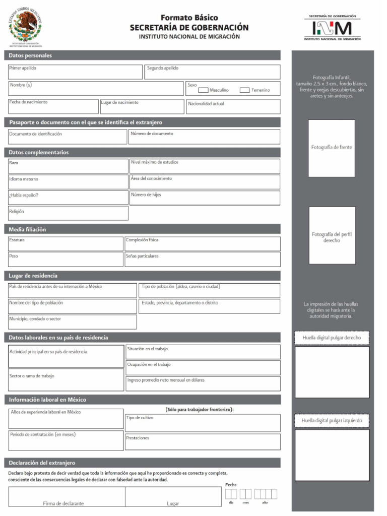 Formato Basico | PDF