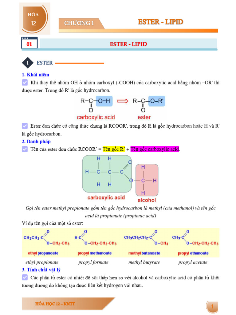 BÀI 1. ESTER-LIPID (1) | PDF