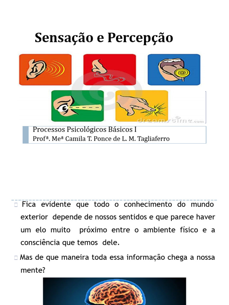 Aula 2 Sensação E Percepção 2024 Pptx Download Grátis Pdf Sentidos