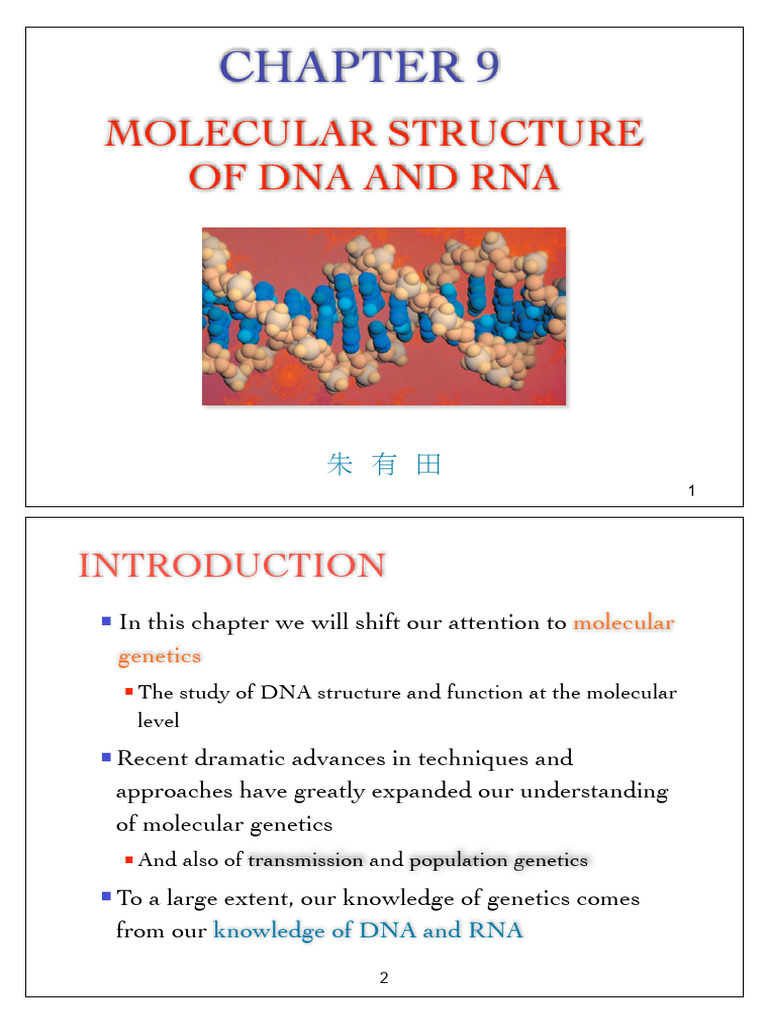 2018 Chapter 9 Keynote RNA DNA Structure | PDF | Nucleic Acid Double ...