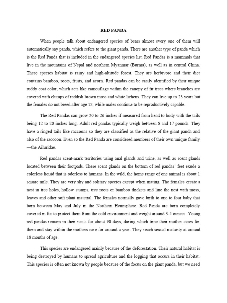 Red Panda | PDF | Giant Panda | Bears