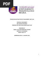 Proton Organizational Structure Overview | PDF | Business Economics ...