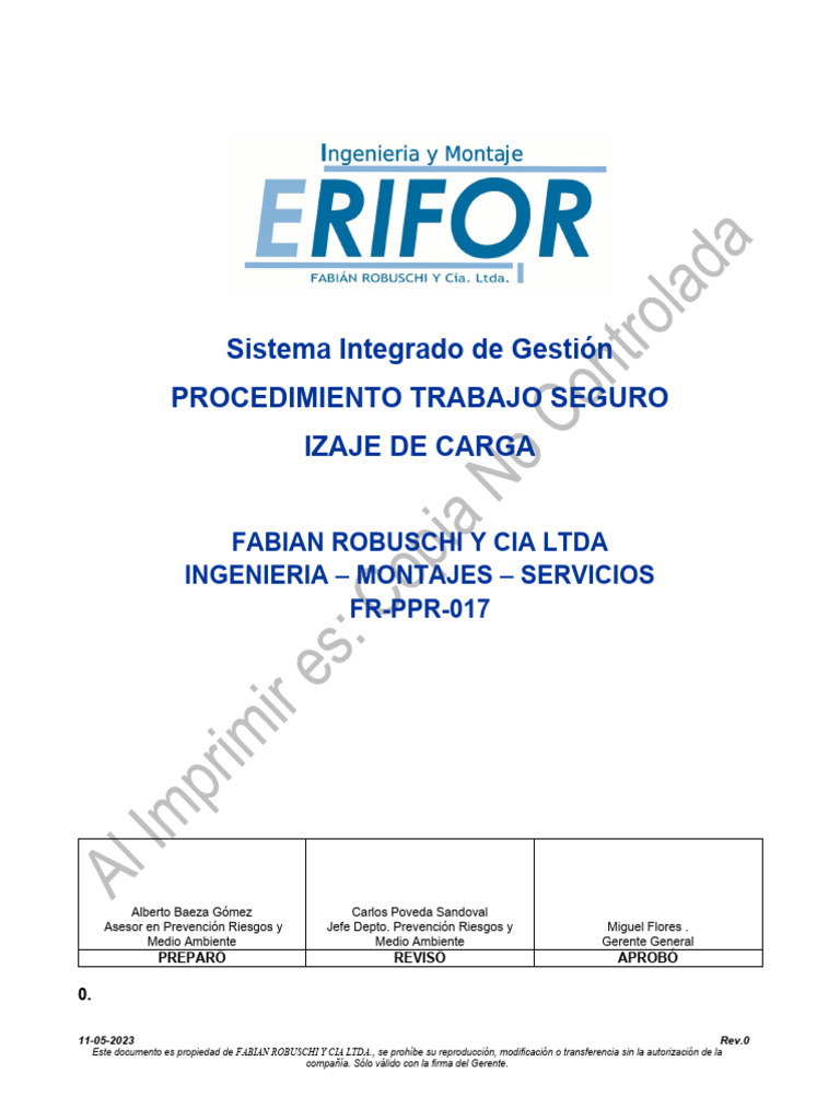 FR-PPR-017 Izaje de Carga rev 3 | PDF | Transmisión de energía eléctrica | Licencia de conducir