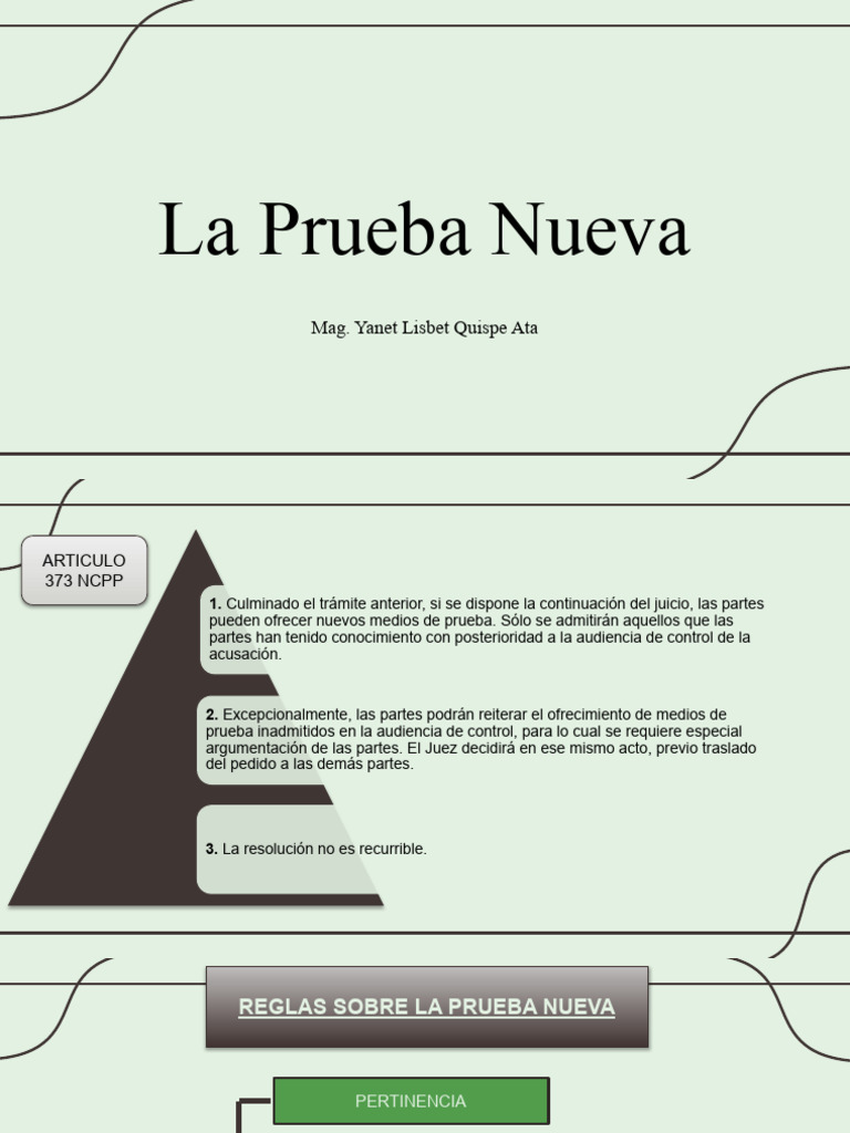 Prueba Nueva | PDF | Caso de ley | Ley común