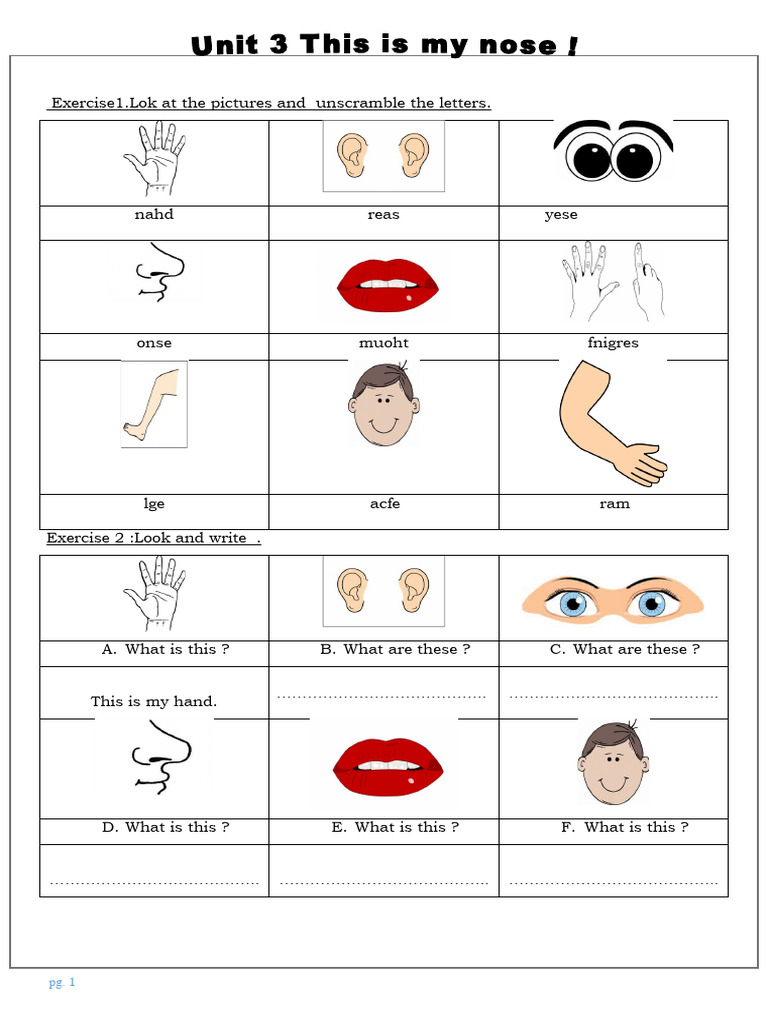 BTBT Unit 3 Family & Friends 1 | PDF