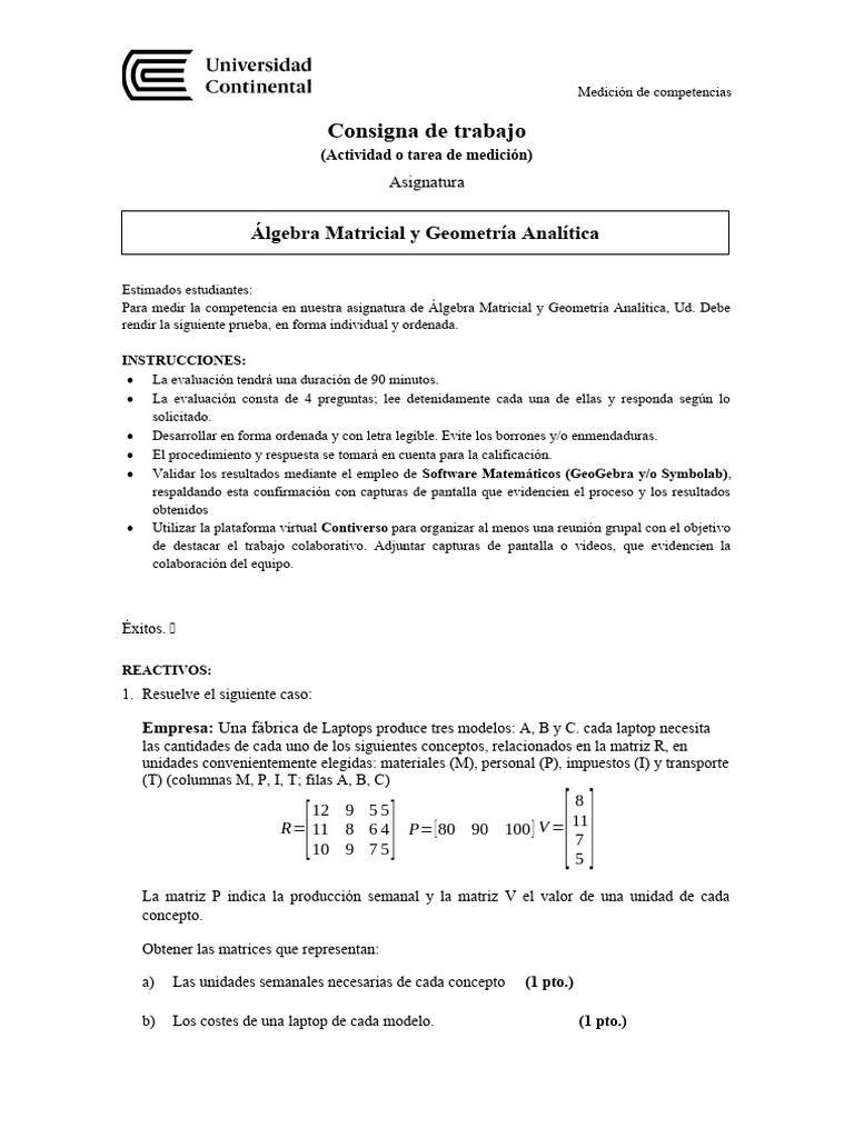 Consigna de Trabajo 2024-10 | PDF | Matriz (Matemáticas) | Matemáticas
