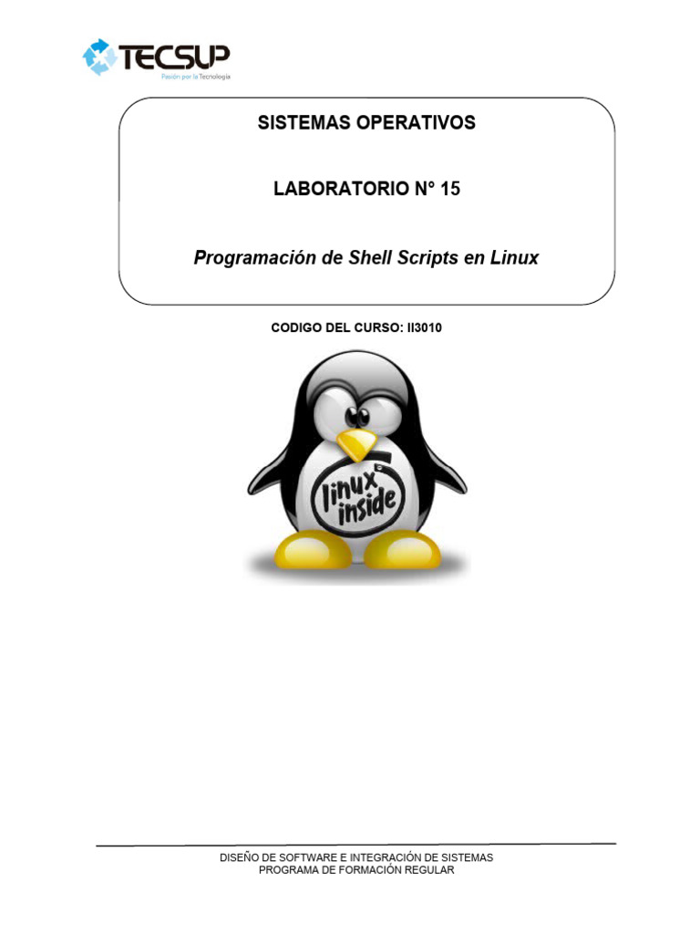 Programación de Shell Scripts | PDF | Interfaz de línea de comando | Lenguaje de escritura