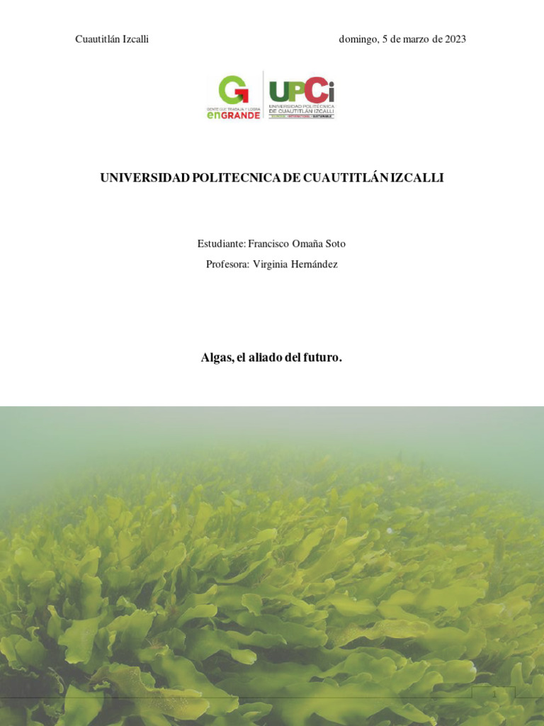 Algas Ensayo | PDF | Algas | Alimentos