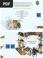 Vocabulario de 100 insectos en inglés y español | PDF