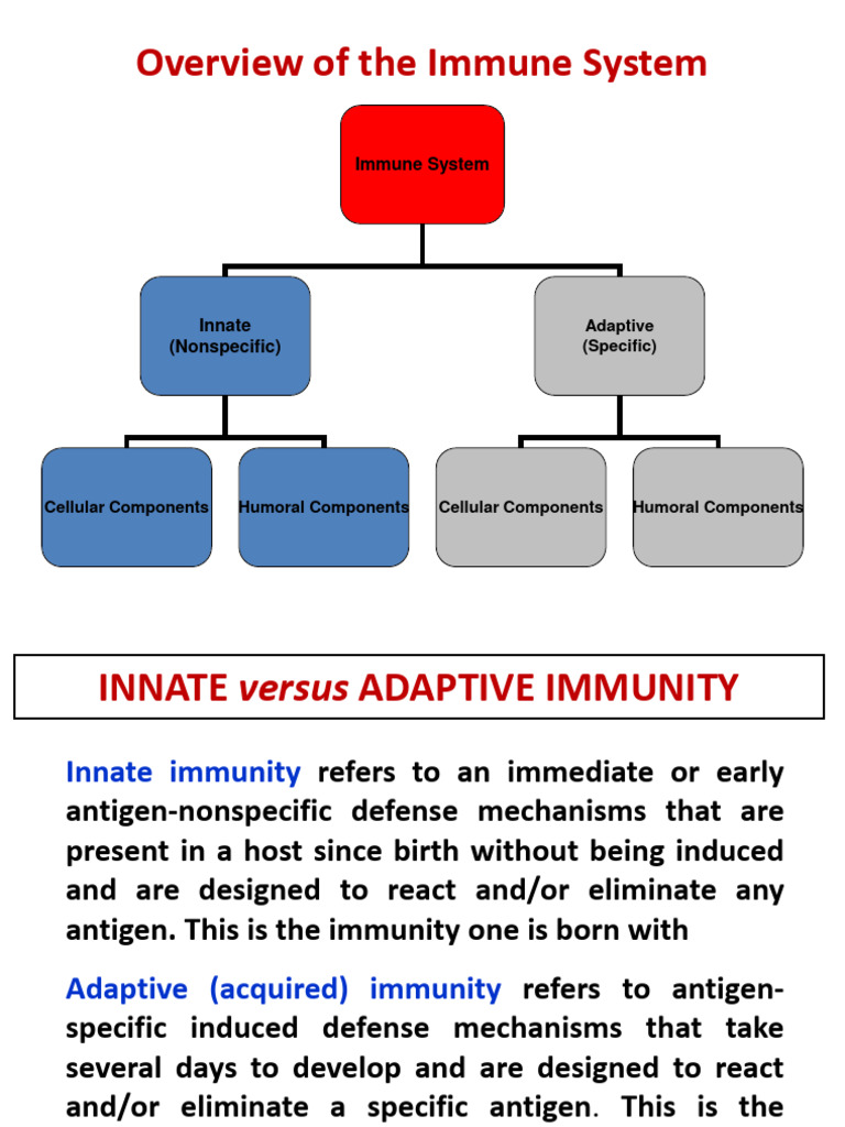 Types of Immunity SR | PDF | Immune System | Adaptive Immune System