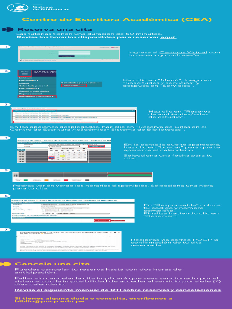 Instructivo - CEA 2022 | PDF